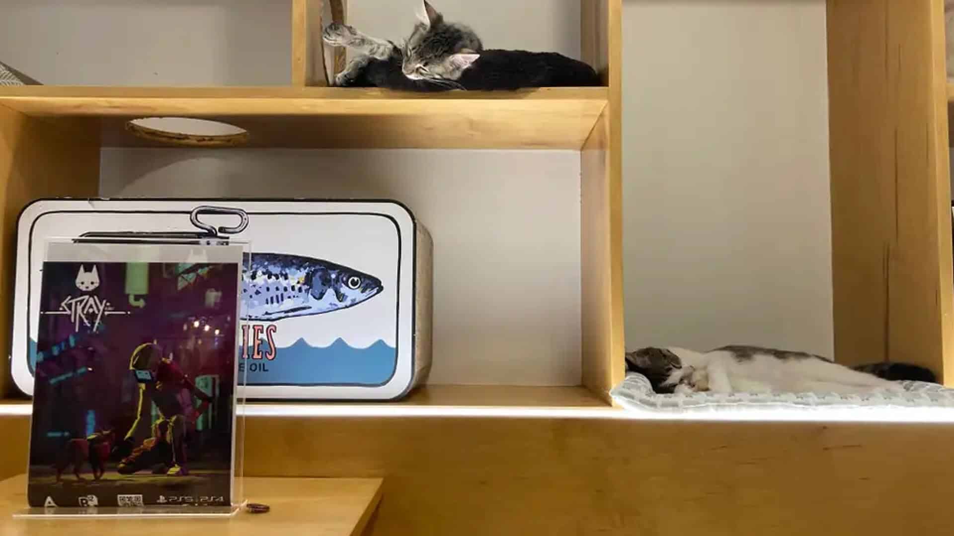 Stray + Meow Parlour จากการตลาด สู่การช่วยเหลือเหมียว - GameTonix